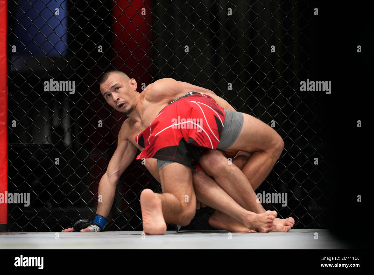 LAS VEGAS, NV - DECEMBER 17: (R-L) Arman Tsarukyan controls the body of ...