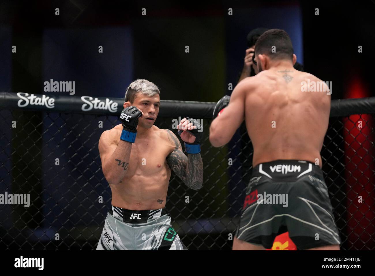 LAS VEGAS, NV - DECEMBER 17: (R-L) Amir Albazi battles Alessandro Costa ...