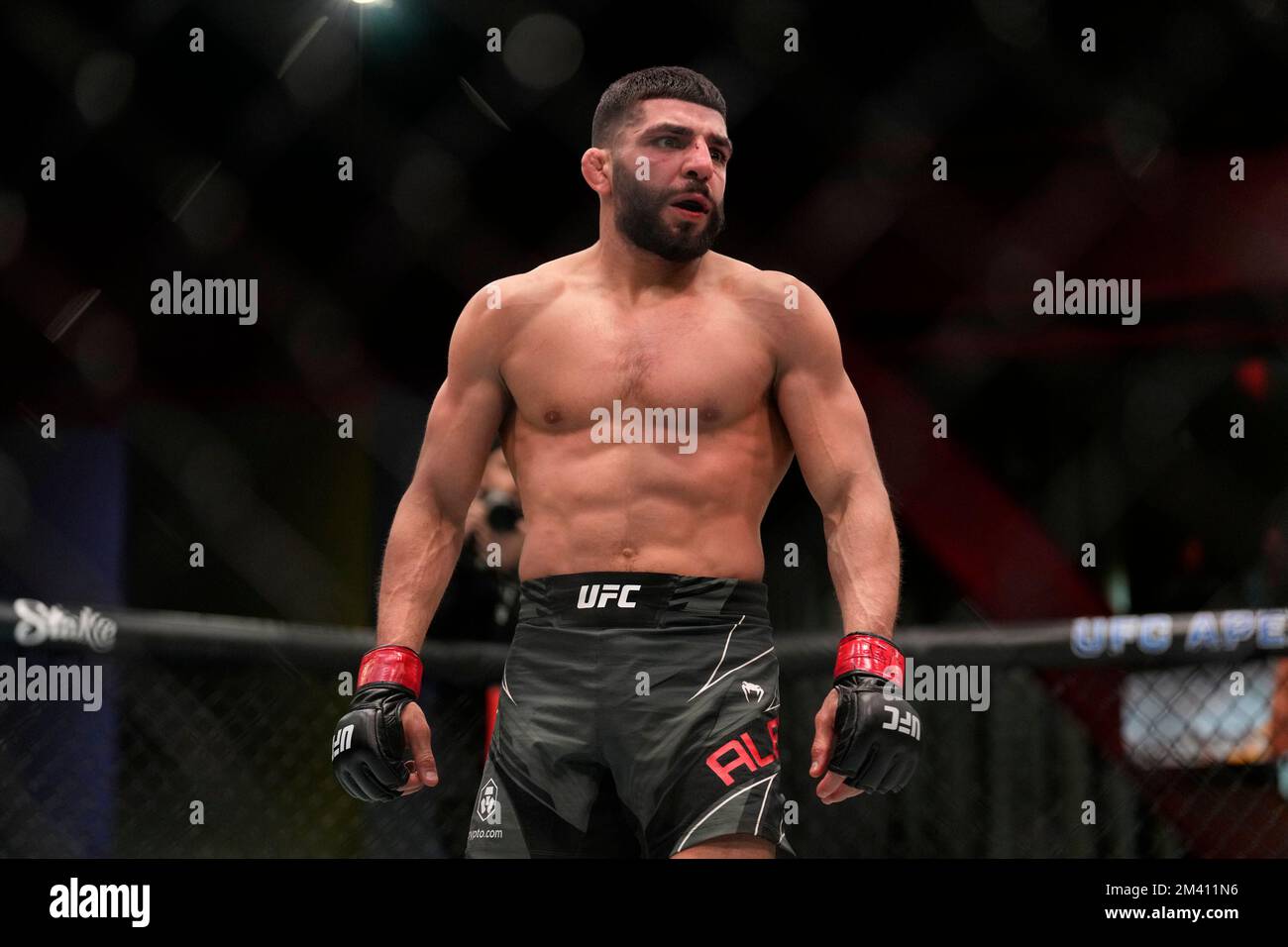 LAS VEGAS, NV - DECEMBER 17: Amir Albazi celebrates his victory over ...