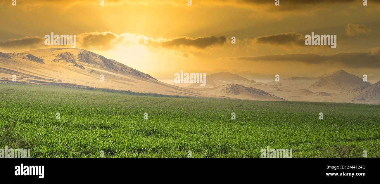 nature with greenery and sunrise Stock Photo - Alamy