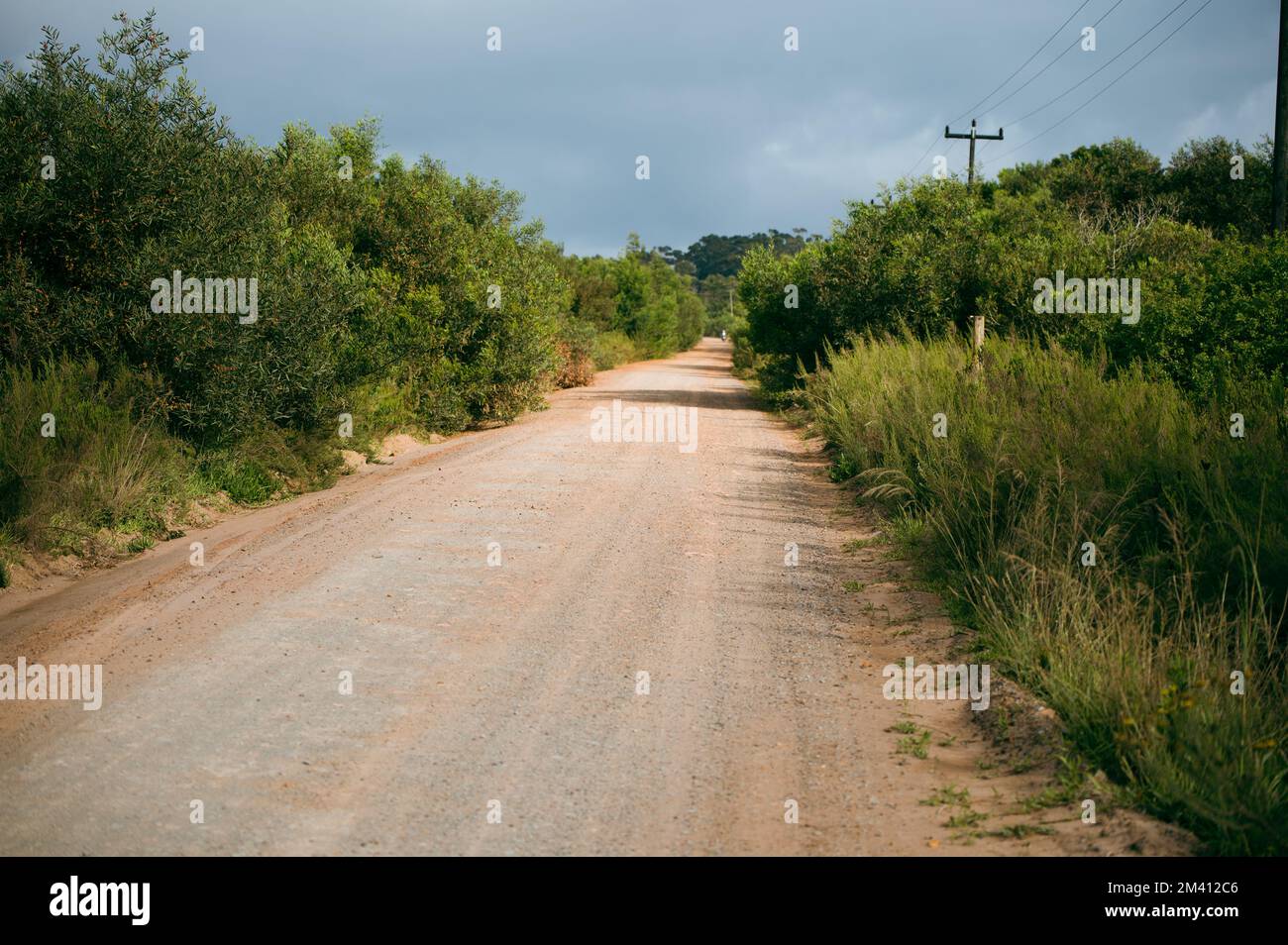 Beautiful road going through hi-res stock photography and images - Alamy