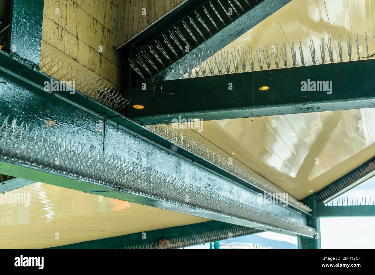 anti bird spike on building structure Stock Photo - Alamy