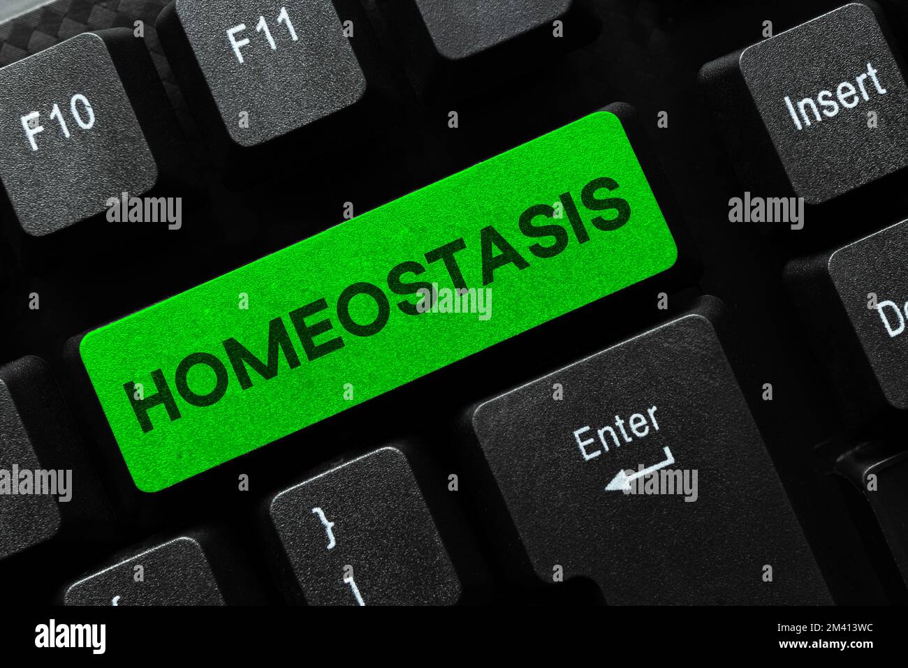 Text showing inspiration Homeostasis. Conceptual photo the tendency ...