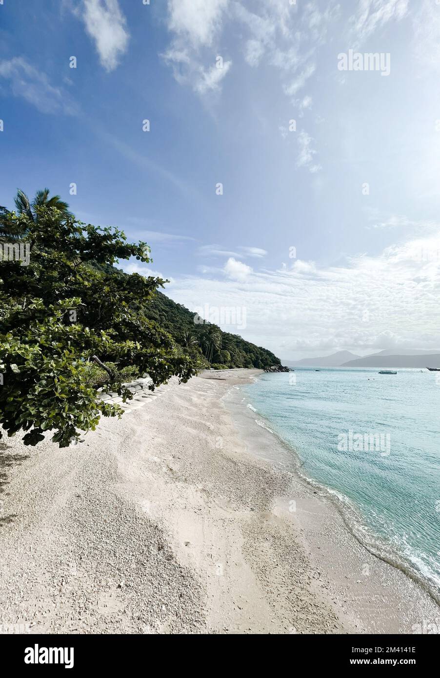 A landscape of the sandy beach with green coastline in Fitzroy Island ...