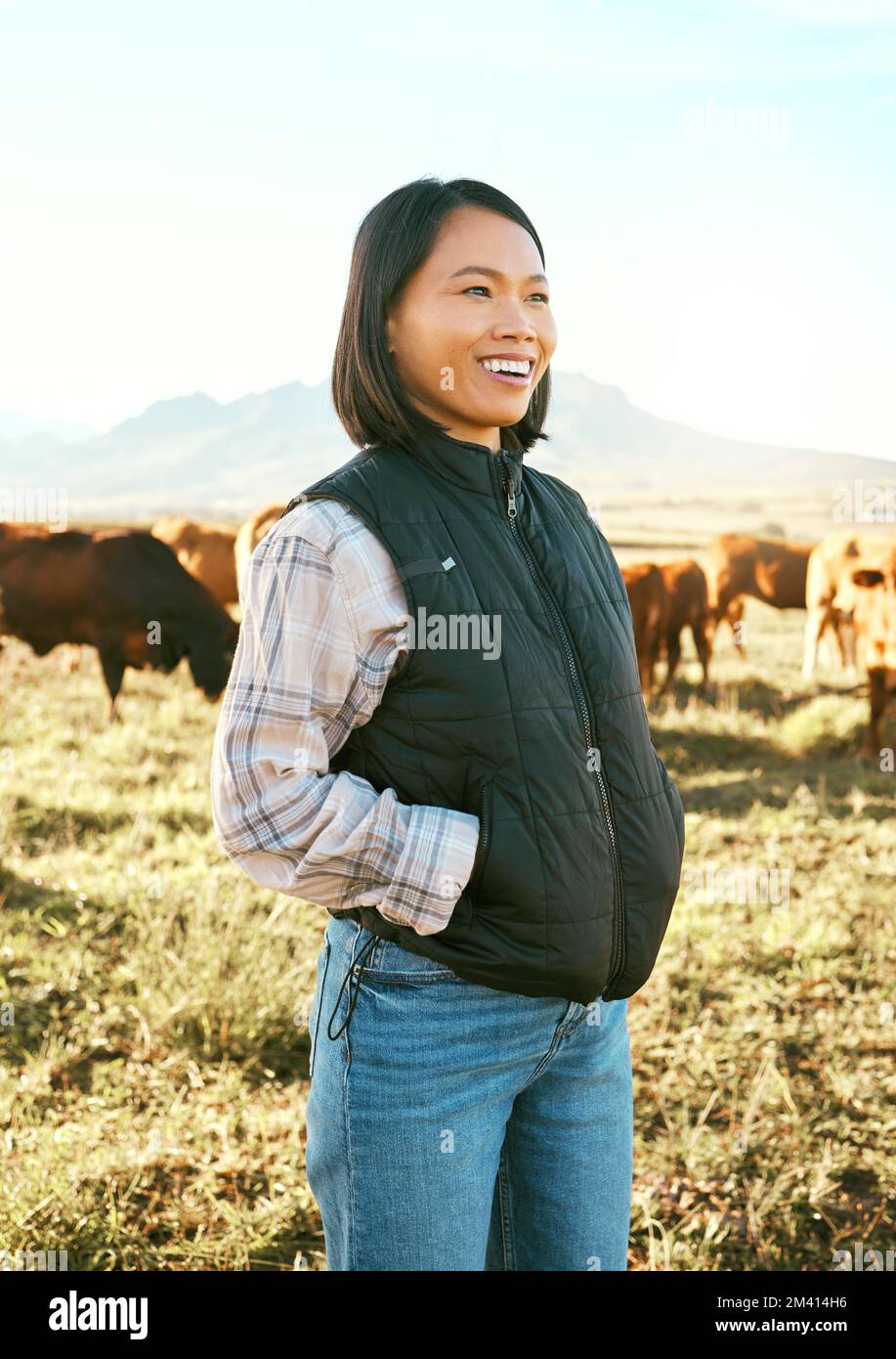 Cow, farmer and asian woman on grass field in nature for meat, beef or ...