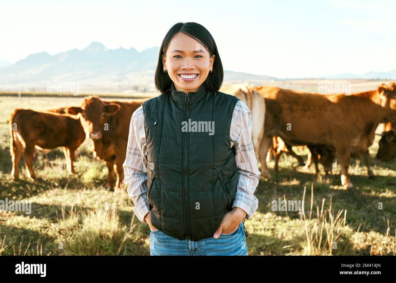 Cow, farmer and asian woman on field in nature for meat, beef or cattle ...