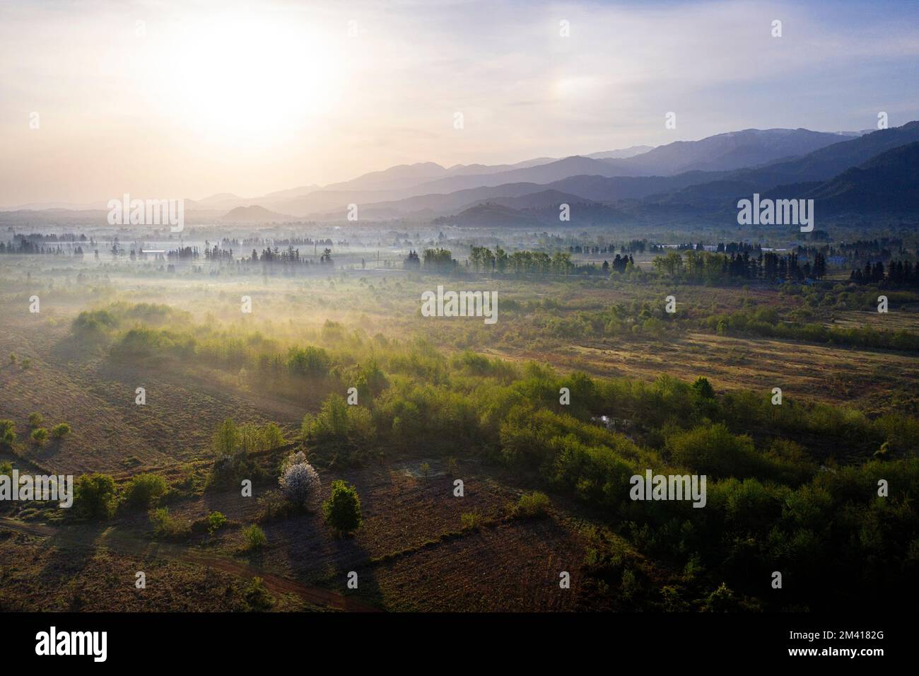 Aerial view or the valley near Ozurgeti and tea plantations in the ...