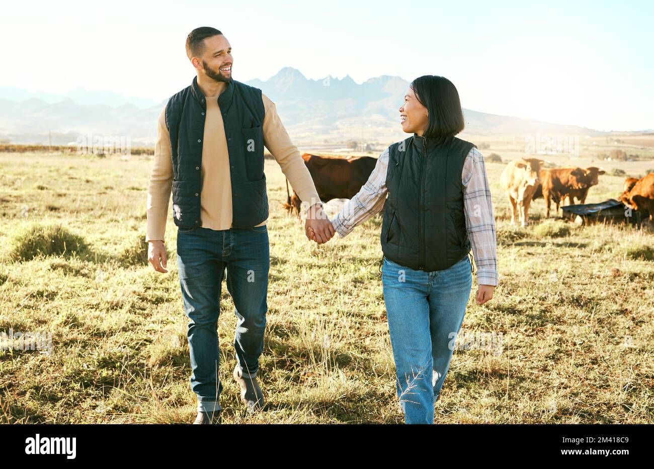 Farmer couple, cattle farming and happy while holding hands and walking ...