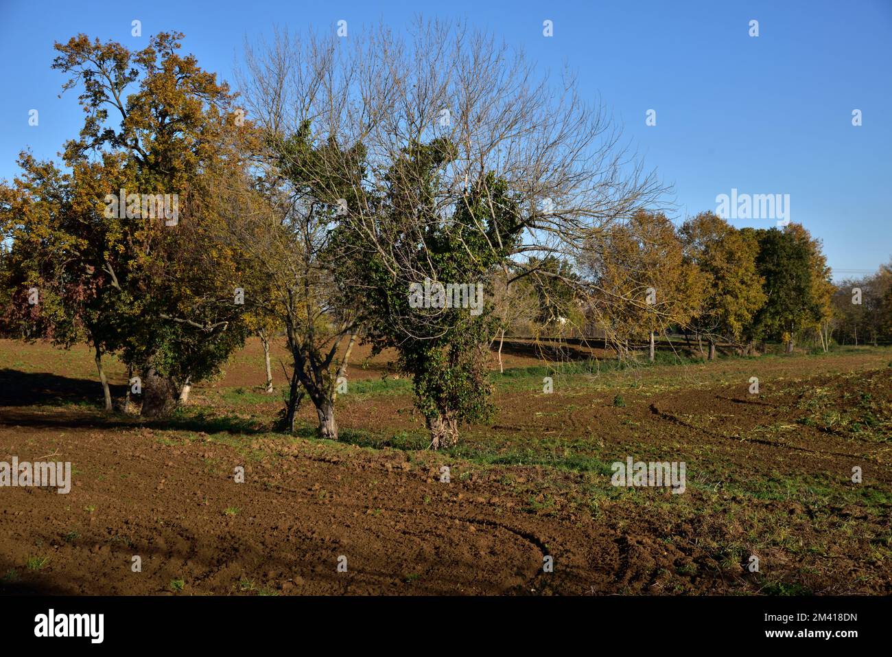 Farm setting in fall season colors Stock Photo - Alamy