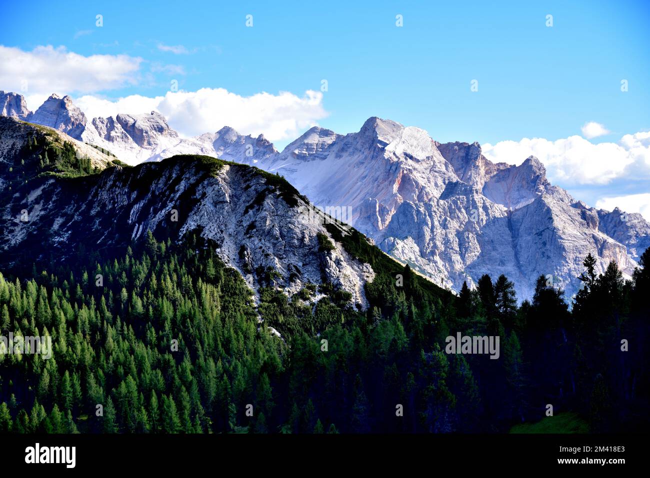 Part of the pale rocks of the Cristallo dolomitic group seen from Prato ...