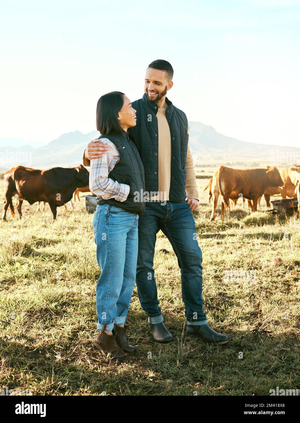 Nature, summer and couple in field with cows, happy dairy farmer on ...