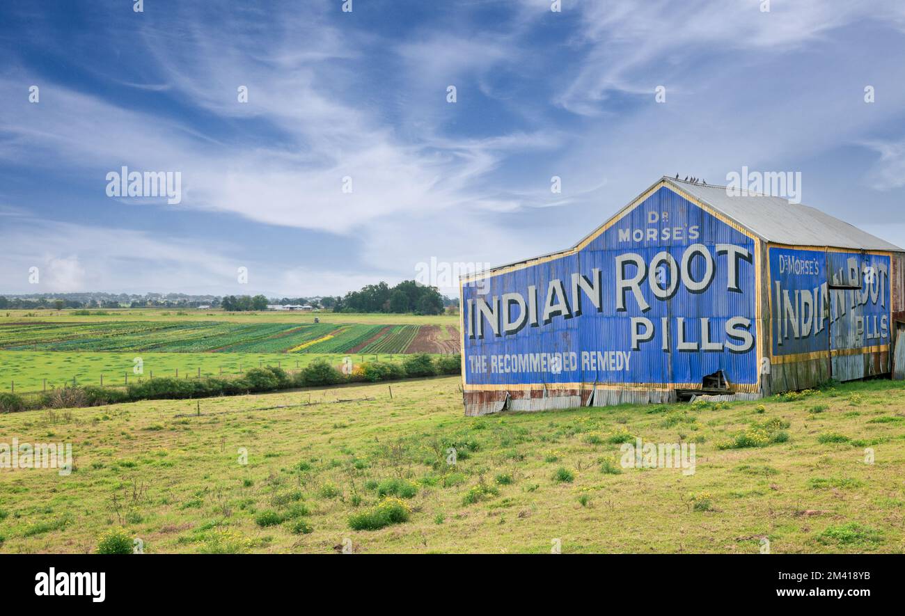 MORPETH, NEW SOUTH WALES, AUSTRALIA. 21st JUNE 2021 Landscape image of ...