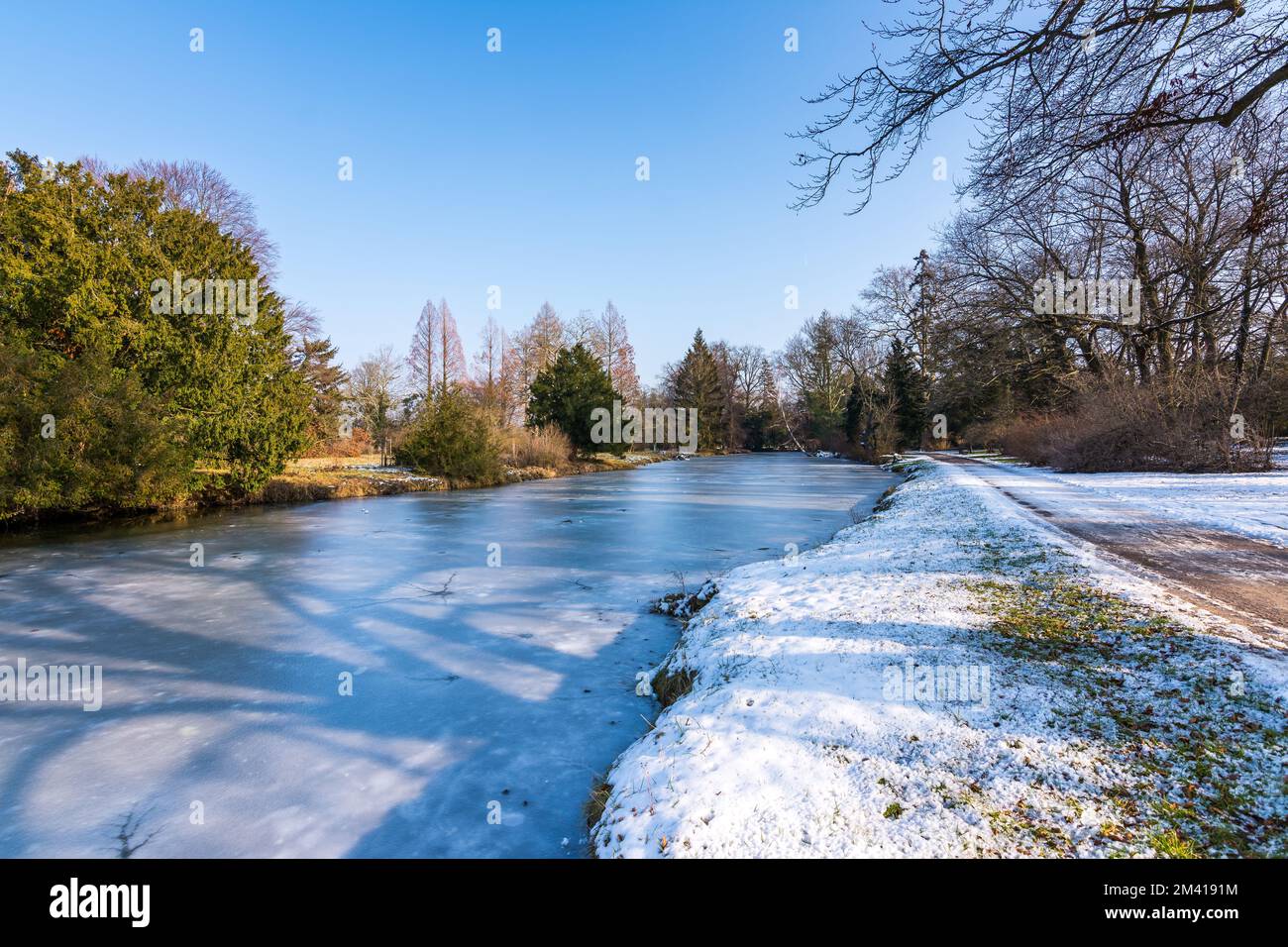 Snow landscape in winter, frozen lake, trees near the water Stock Photo ...