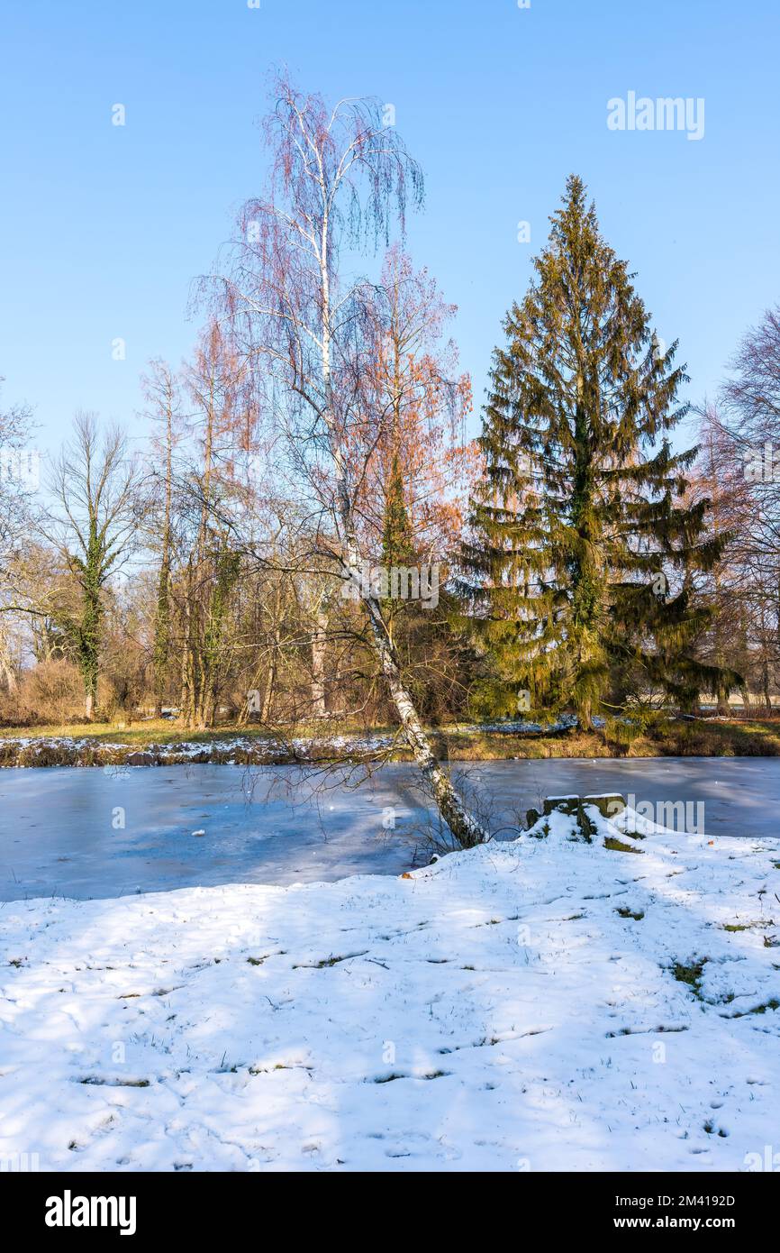 Crack ice lake trees hi-res stock photography and images - Alamy