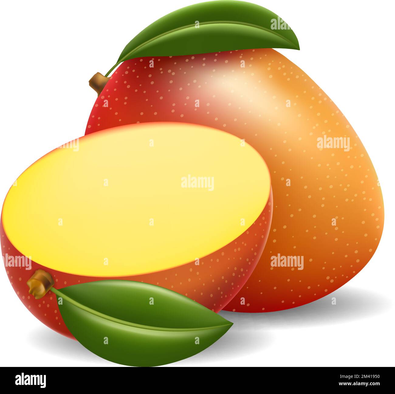 3d realistic yellow mango hi-res stock photography and images - Alamy