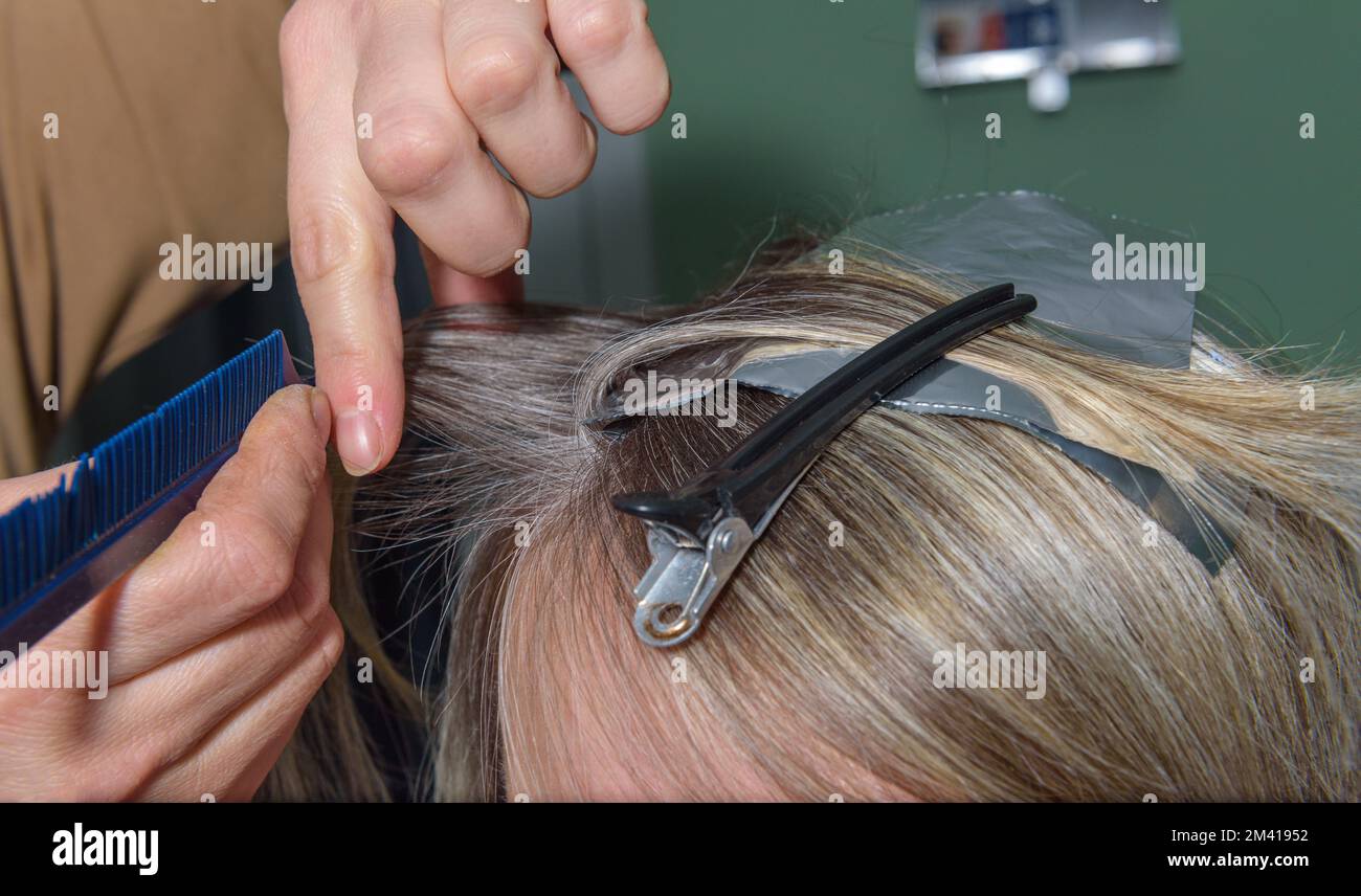 hair coloring process. use of foil. selected focus. hair texture Stock ...