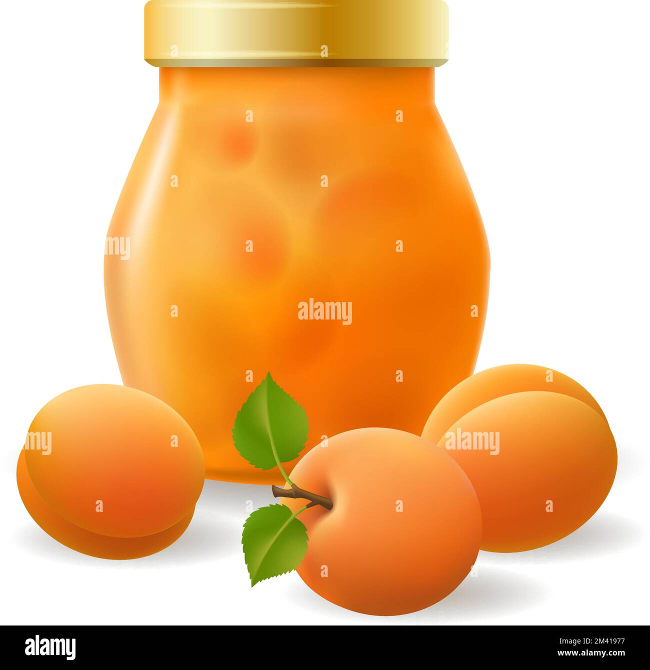 Food homemade sweet apricot Stock Vector Images - Alamy