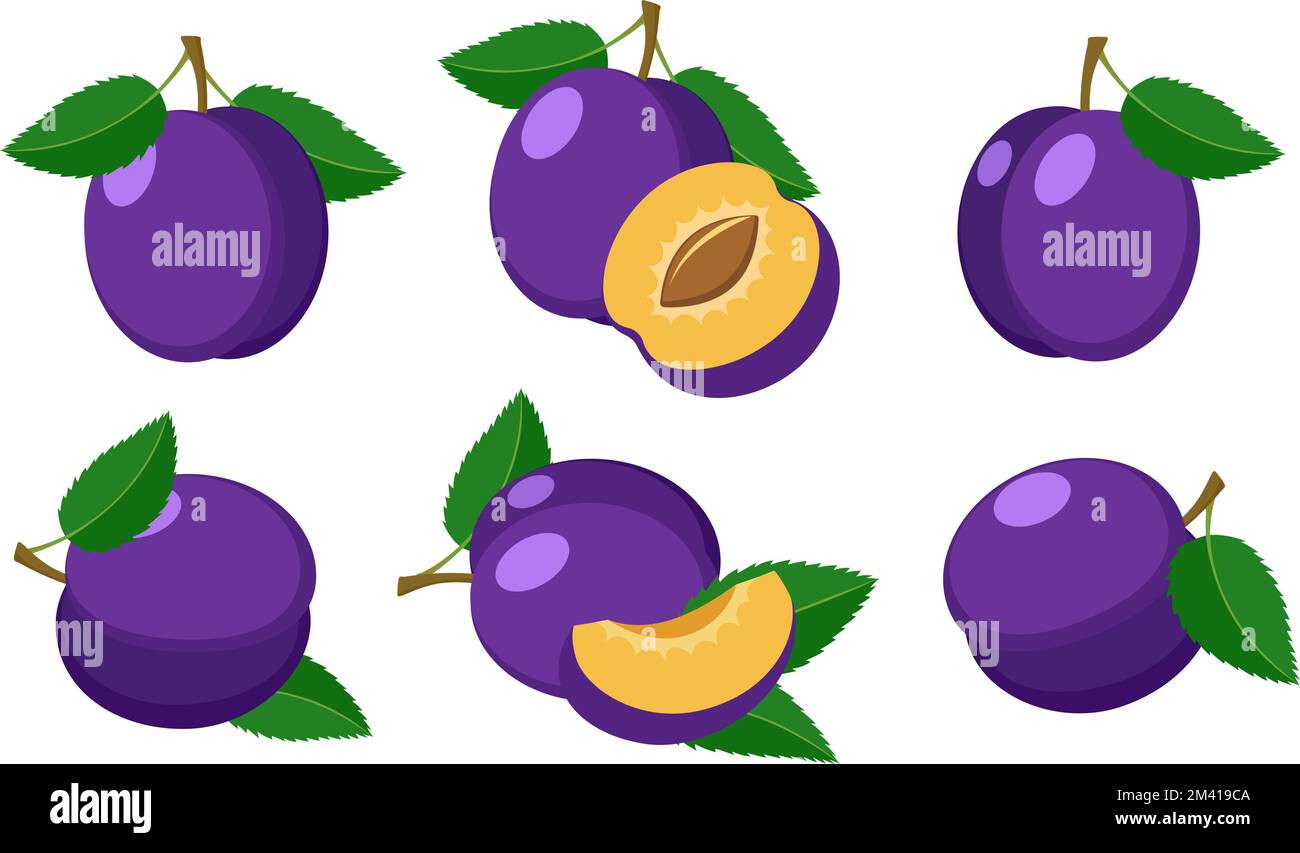 Cartoon purple plum fruit Cut Out Stock Images & Pictures - Alamy