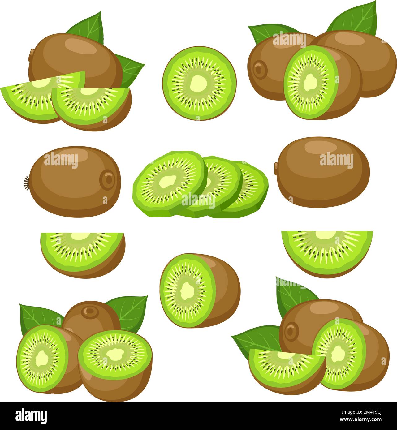 Kiwi fruit cut slices Stock Vector Images - Alamy