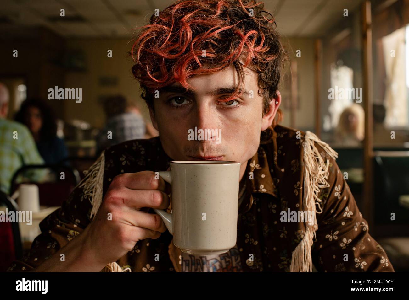 TIMOTHEE CHALAMET in BONES & ALL (2022), directed by LUCA GUADAGNINO ...