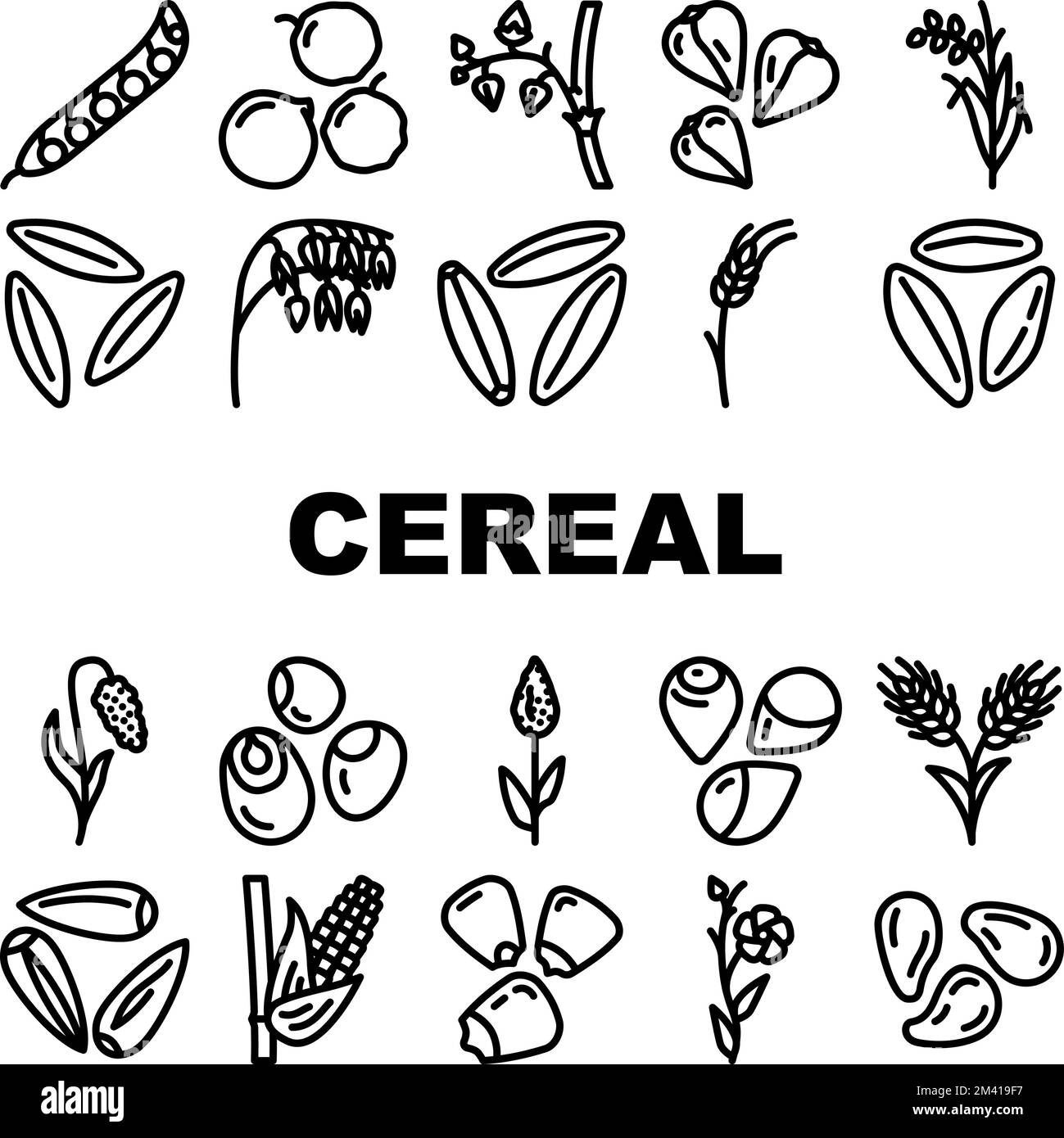 cereal plant healthy food icons set vector Stock Vector Image & Art - Alamy