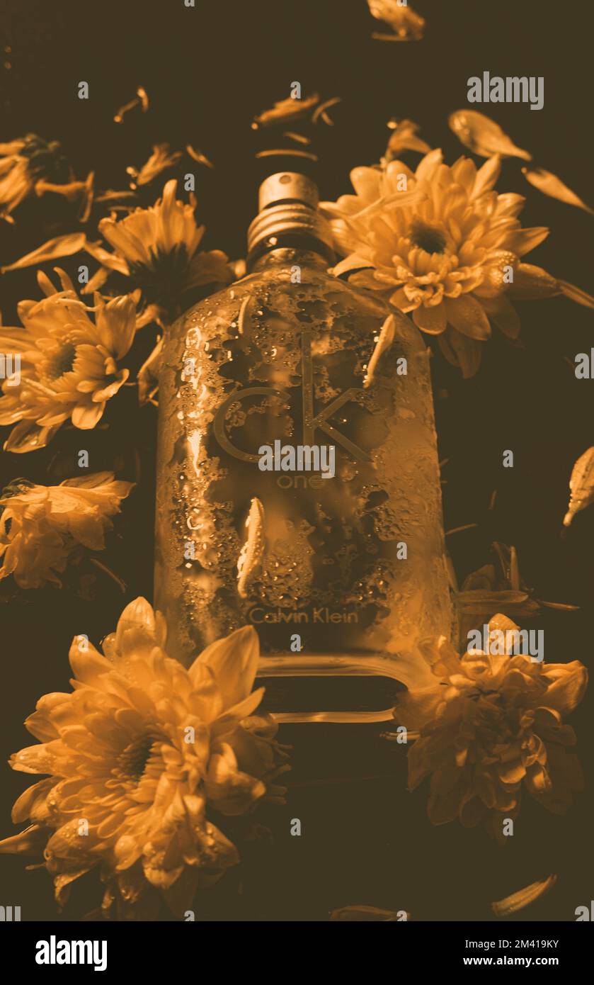 A vertical shot of Calvin Klein Cologne for men product designed with ...