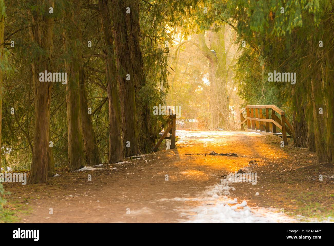 Magic bridge hi-res stock photography and images - Alamy