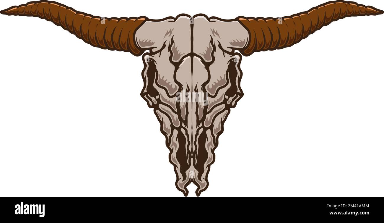 Illustration of buffalo skull isolated on white background. Design ...