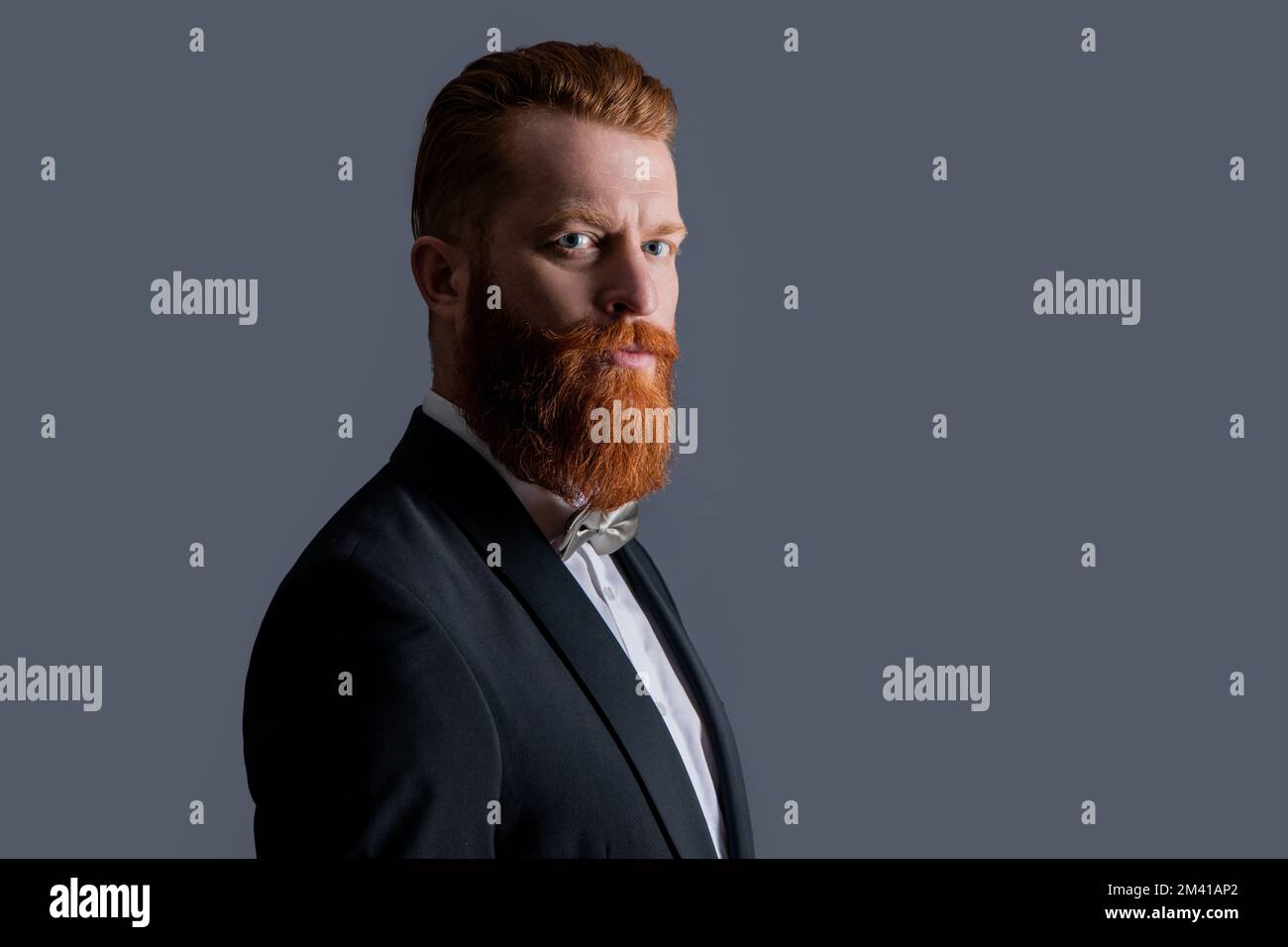 tuxedo fashion. handsome bearded man in tuxedo isolated on grey ...
