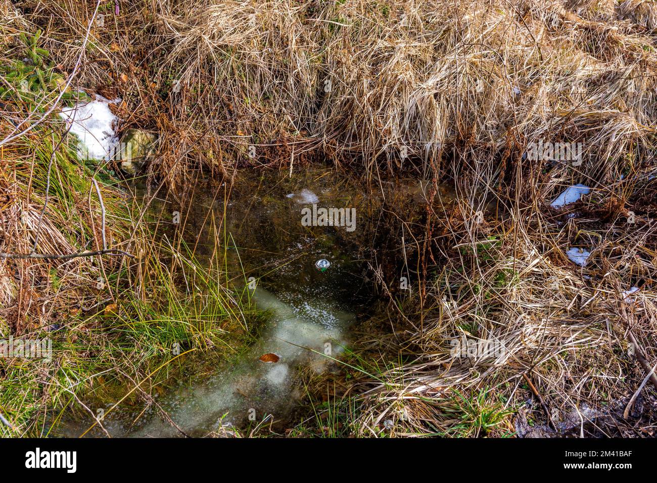 Small spring and puddle in the forest, with the garbage in water ...