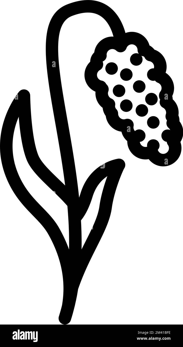 millet plant food line icon vector illustration Stock Vector Image ...