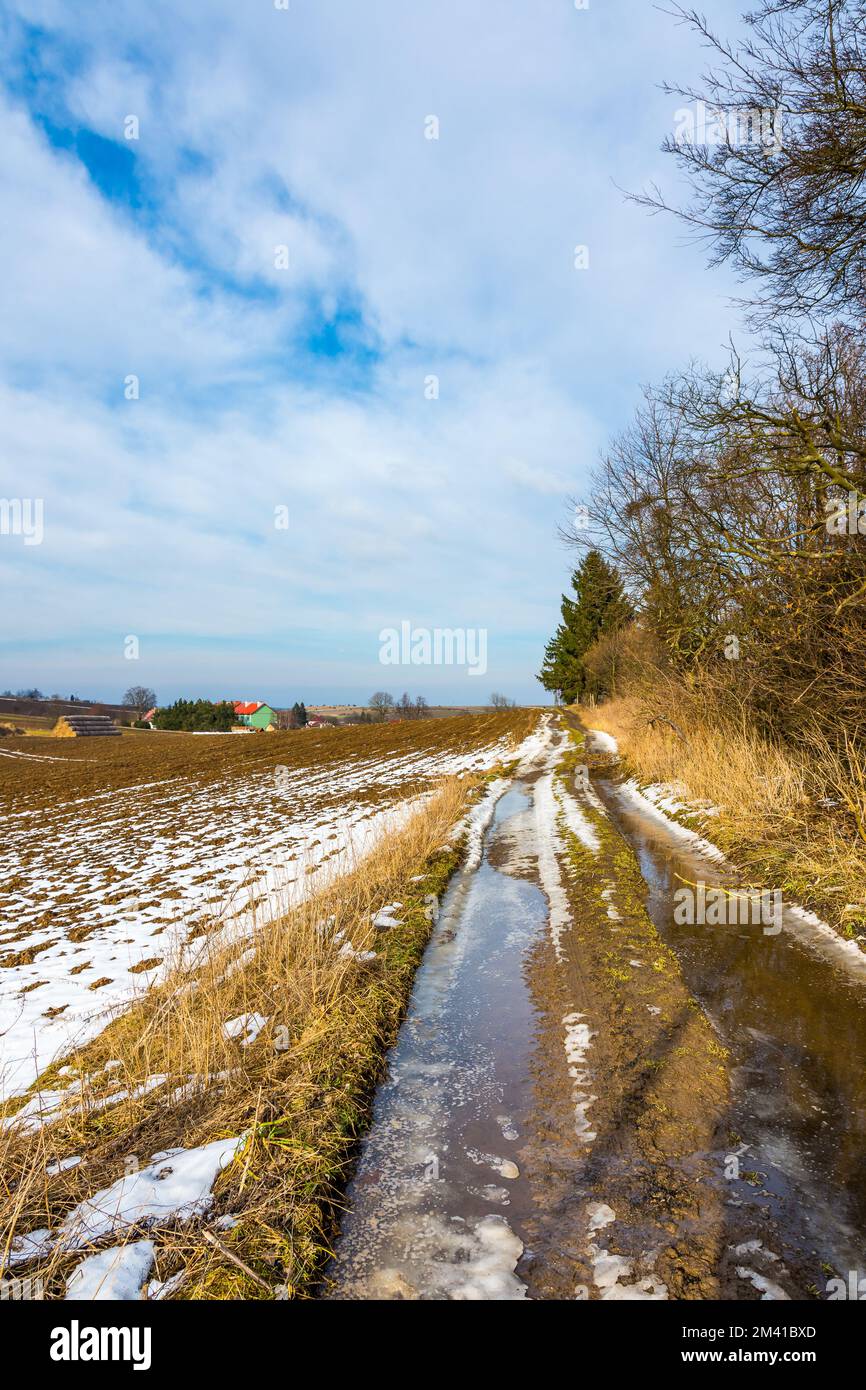 Rain puddle soil hi-res stock photography and images - Alamy