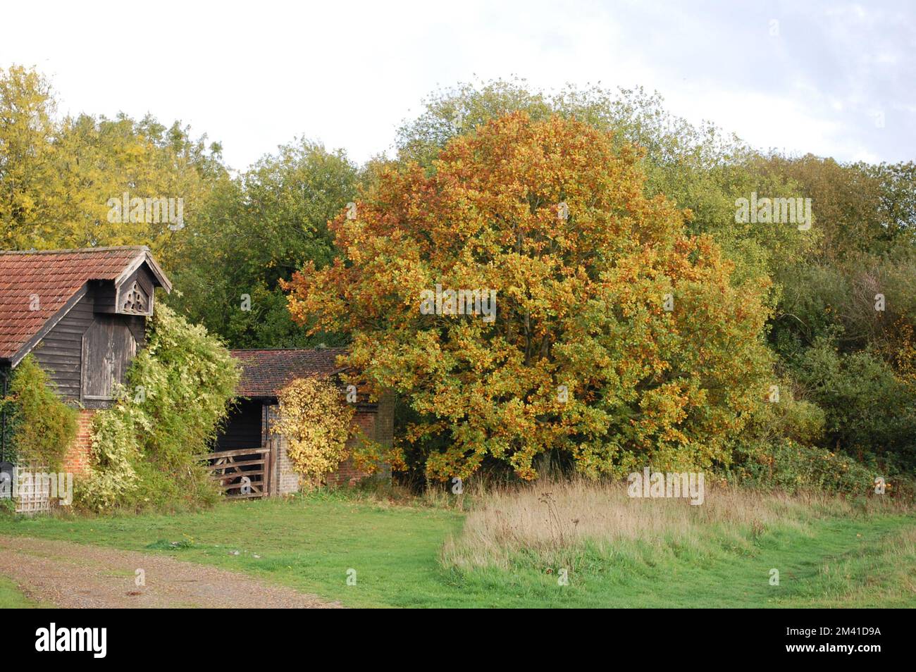 The old Dove Cot Stock Photo - Alamy
