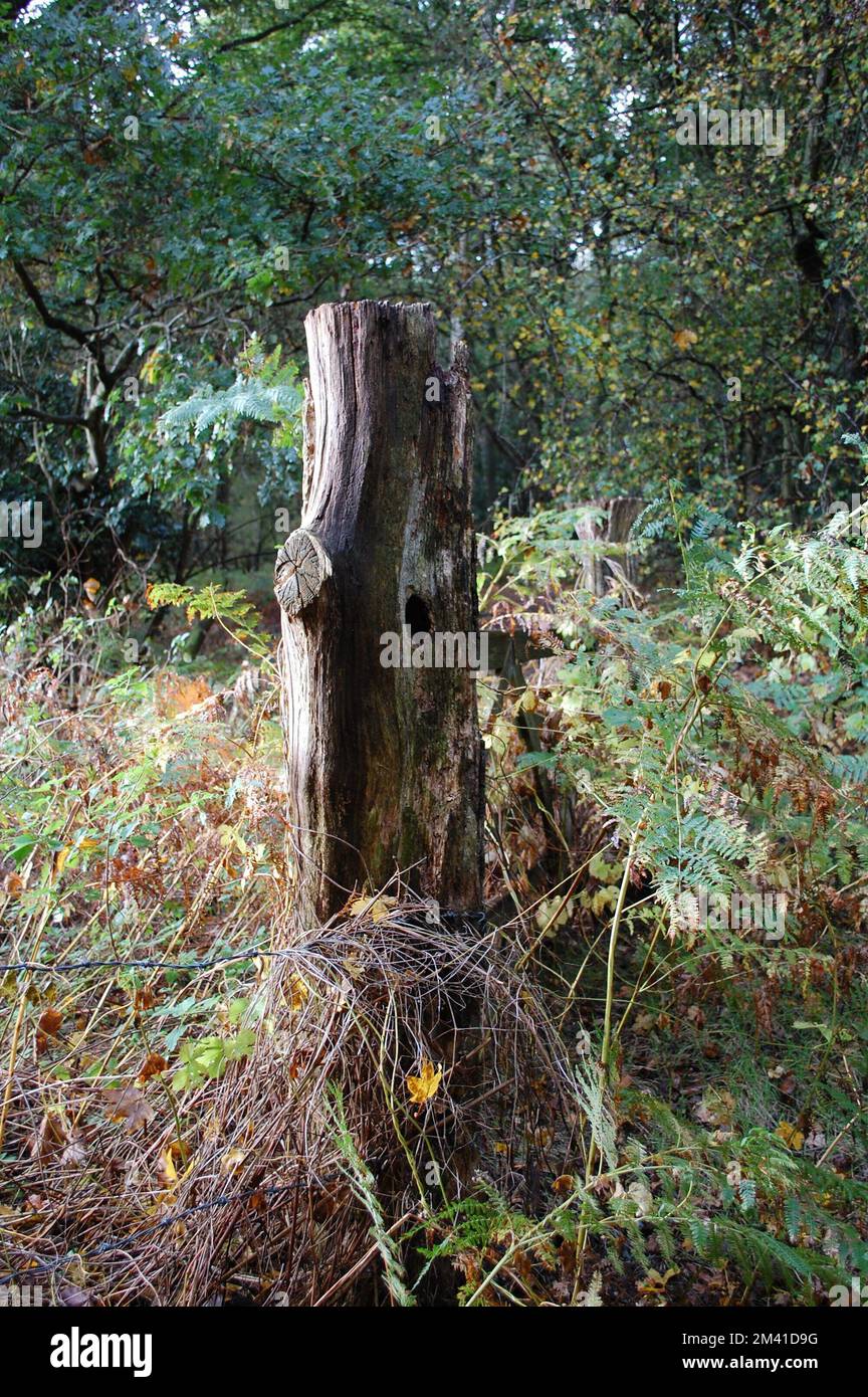 The Old Gate Post Stock Photo - Alamy