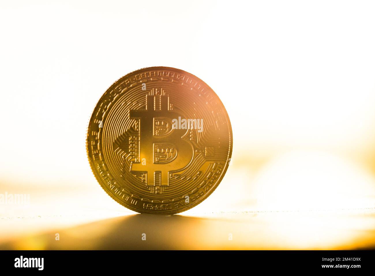 Gold bitcoin coin placed on white background in the light of sunset ...