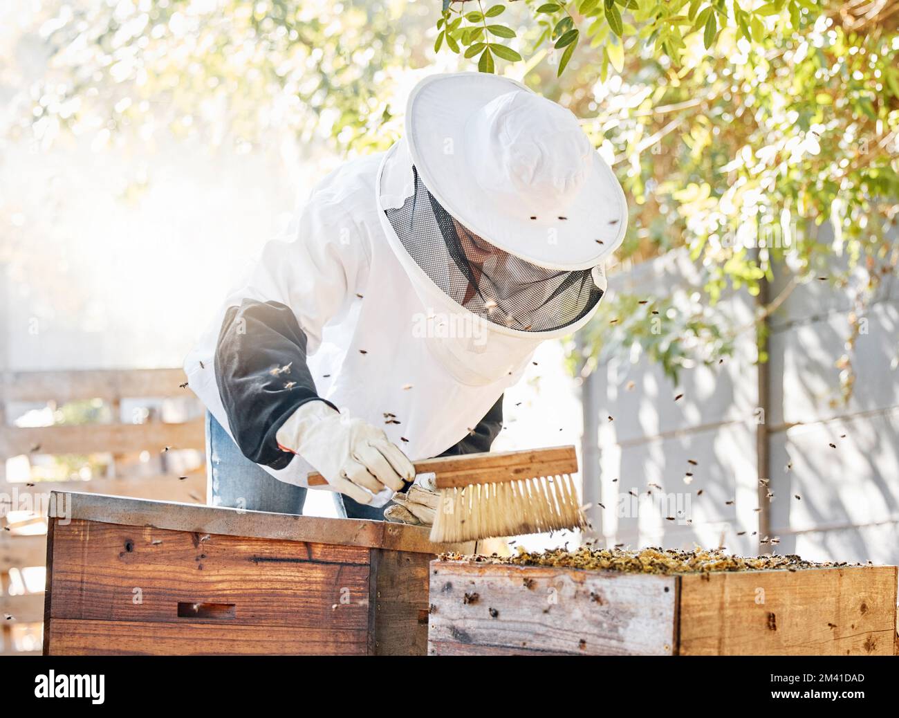 Woman and insects hi-res stock photography and images - Alamy