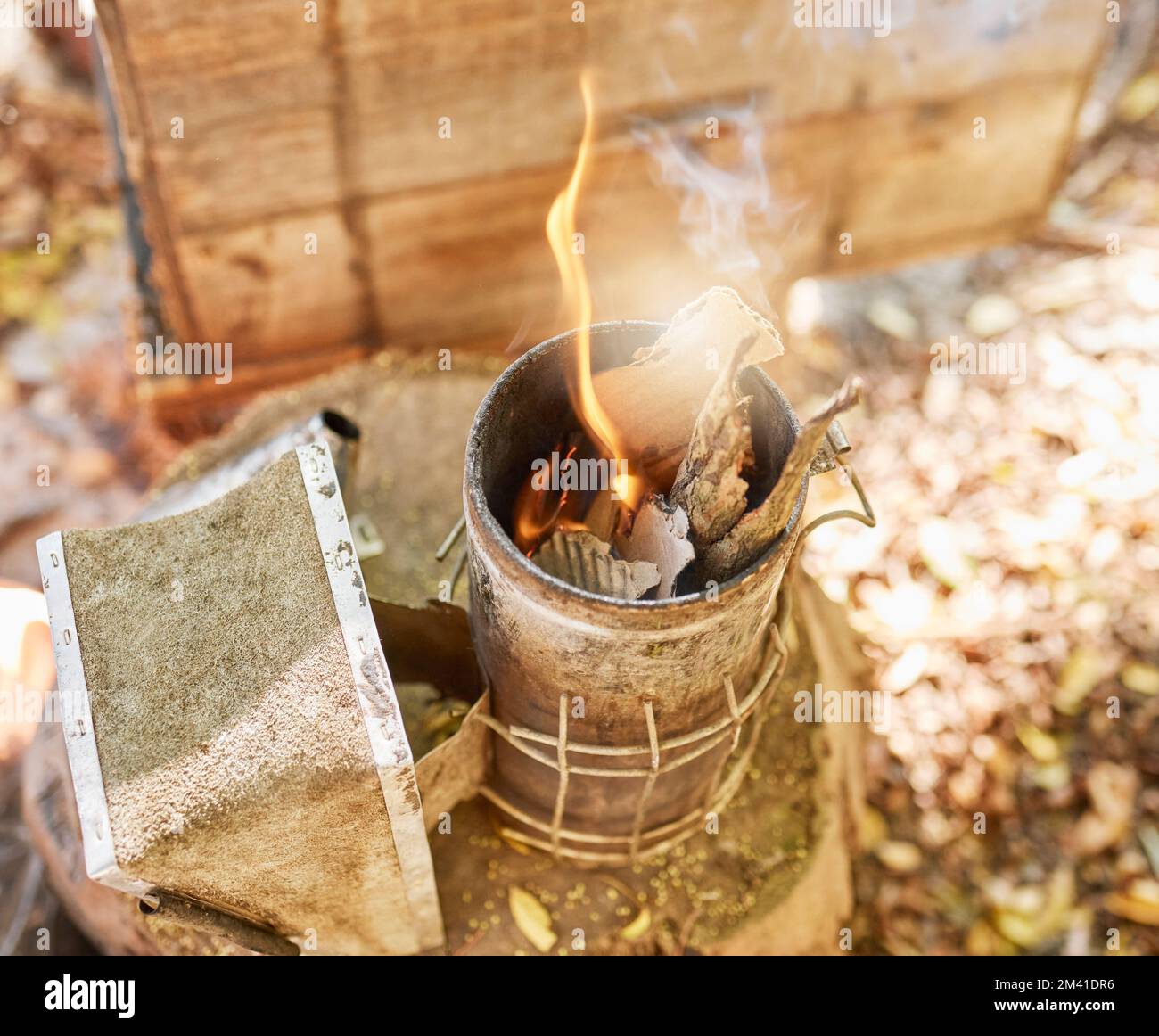 Smoke, fire and metal container on bee farm for agriculture, smoking ...