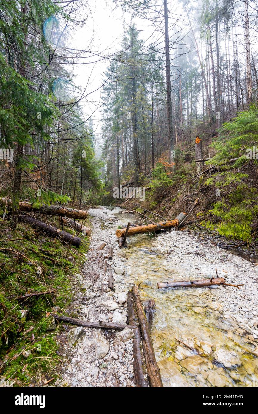 Slovakia paradise - The Sucha Biela river canyon with tourist path ...
