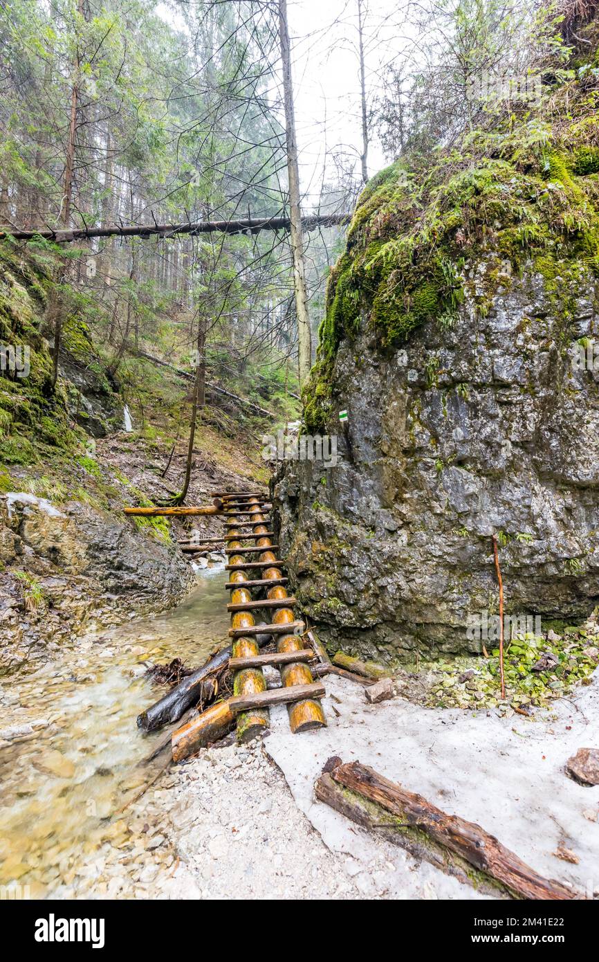 Slovakia paradise - The Sucha Biela river canyon with tourist path ...