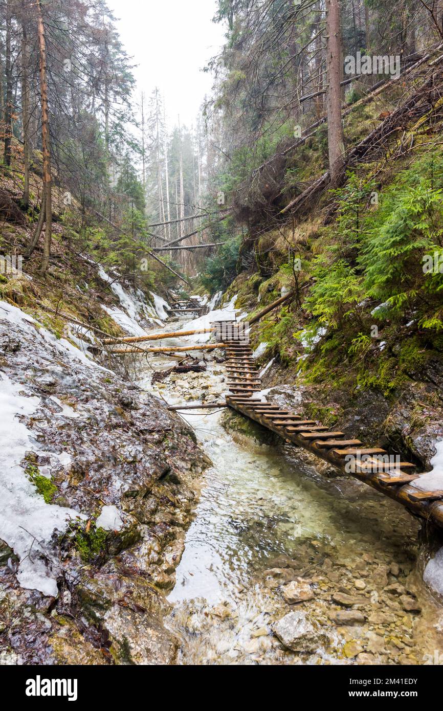 Slovakia paradise - The Sucha Biela river canyon with tourist path ...