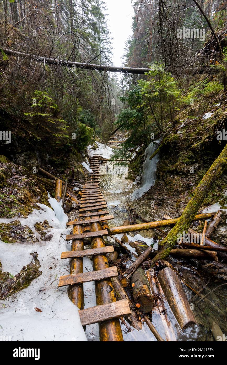 Slovakia paradise - The Sucha Biela river canyon with tourist path ...