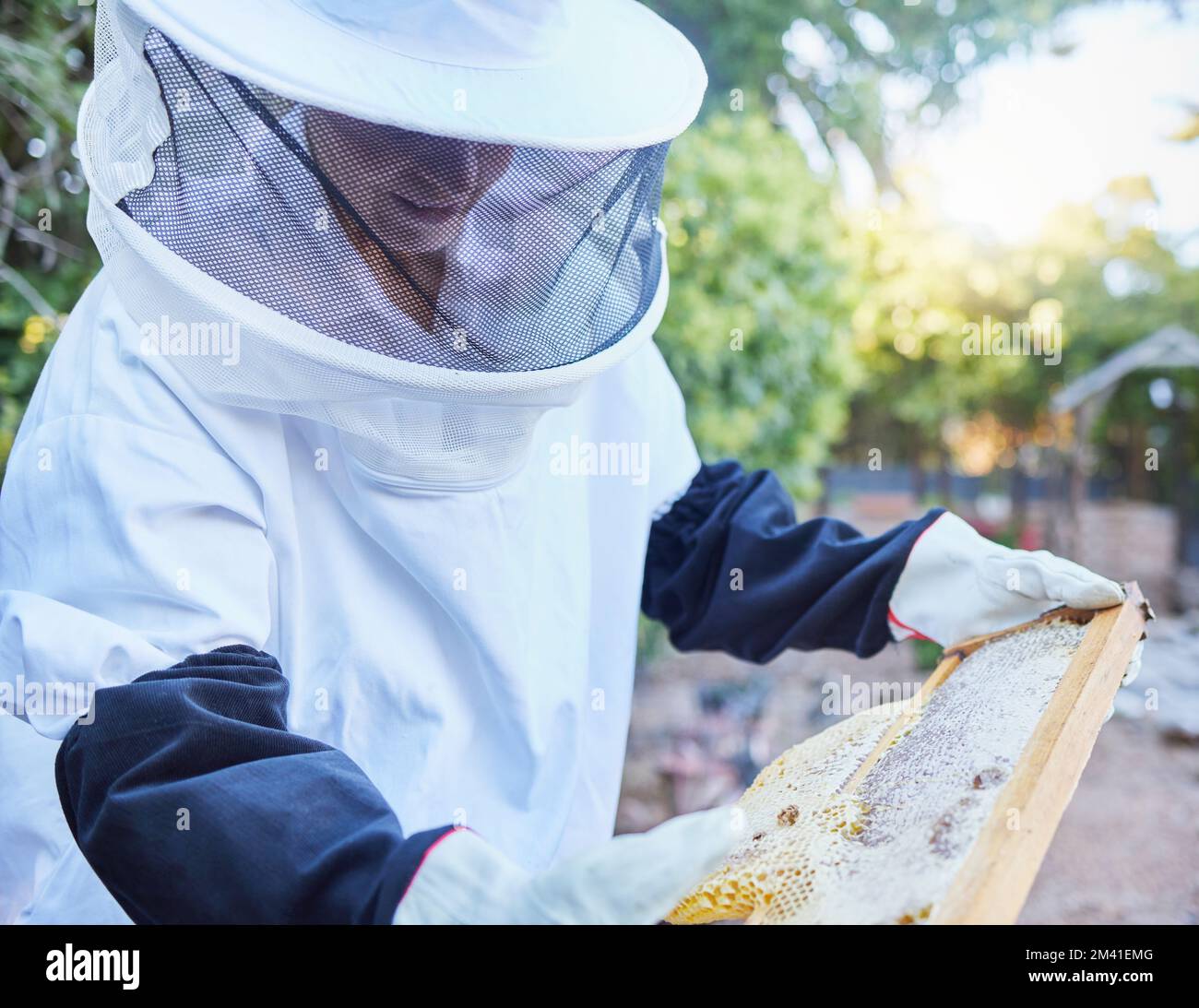 Beekeeper Hat Topshop
