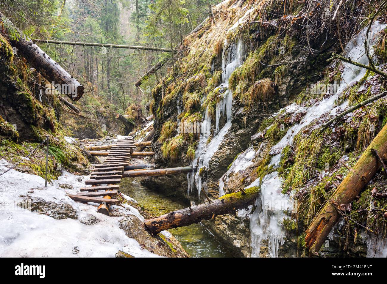 Slovakia paradise - The Sucha Biela river canyon with tourist path ...