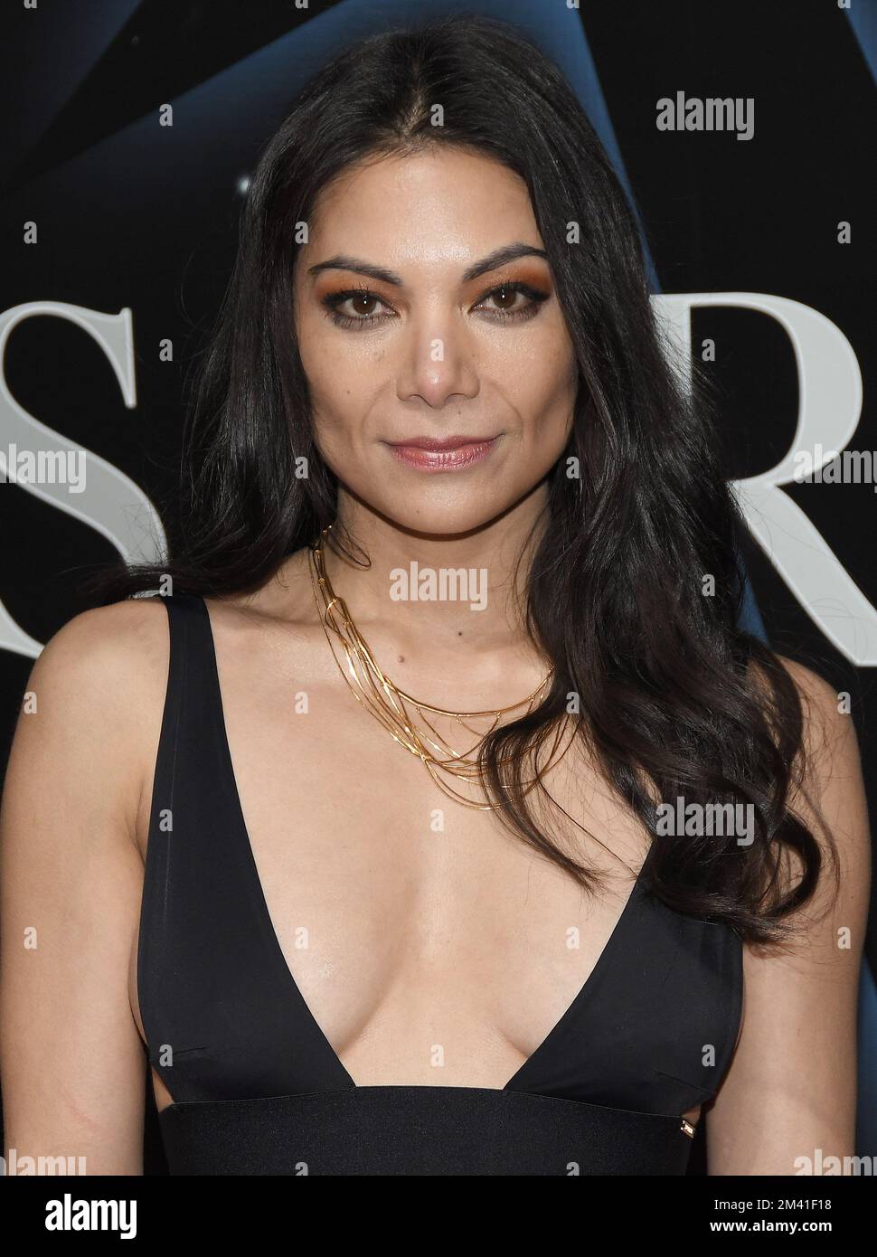 Ginger Gonzaga at the 20th Annual Asian American Awards UNFORGETTABLE Gala Hosted By Character ...