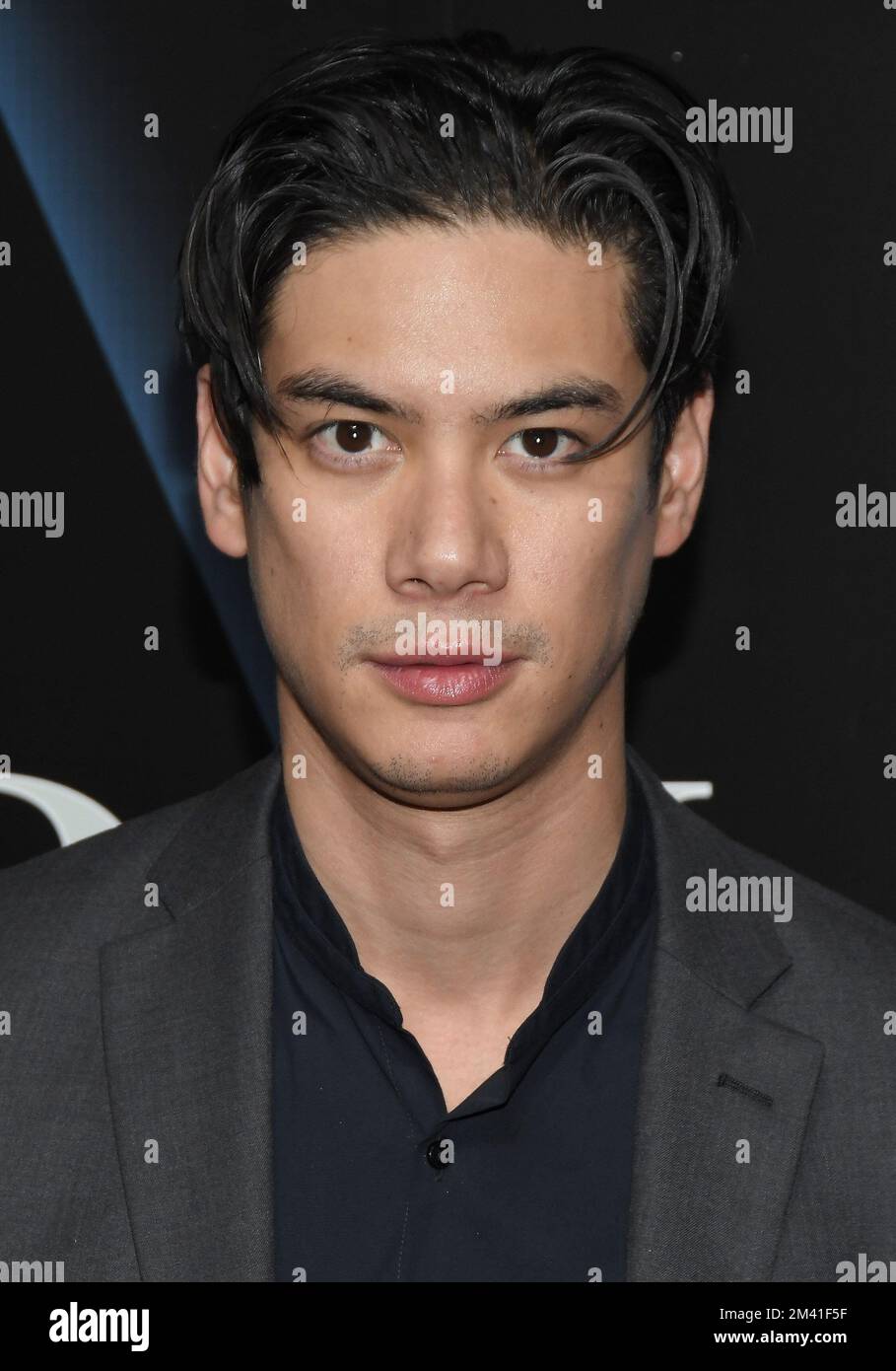 Los Angeles, USA. 17th Dec, 2022. Ben Levin at the 20th Annual Asian ...