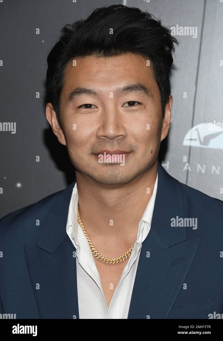 Los Angeles, USA. 17th Dec, 2022. Simu Liu at the 20th Annual Asian ...