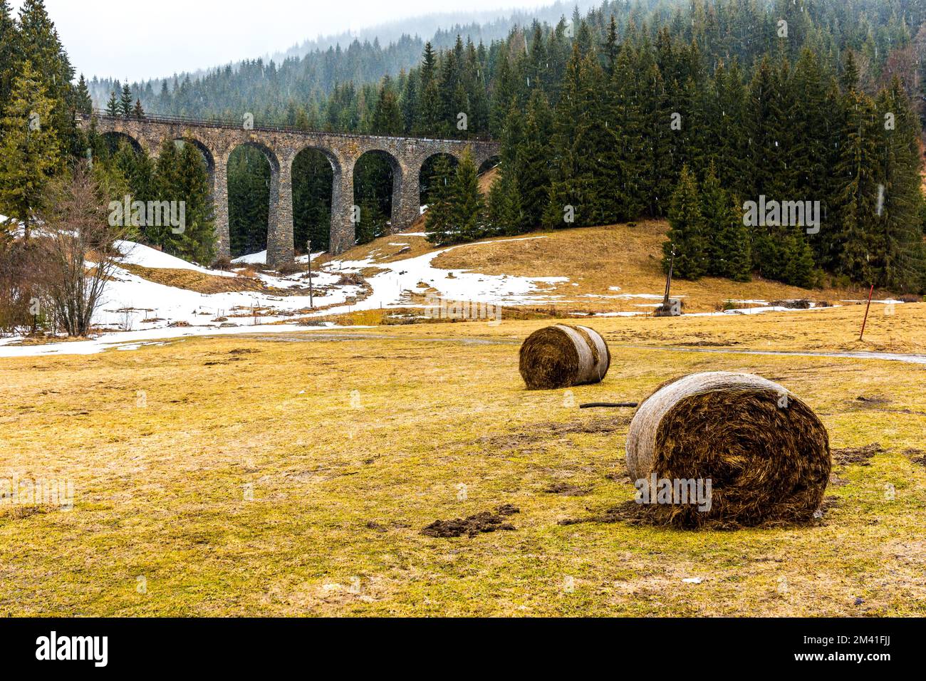 Slovakia train viaduct historical bridge in the forest and mountains ...
