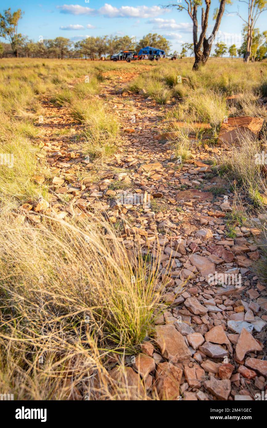 Australian grasses hi-res stock photography and images - Alamy