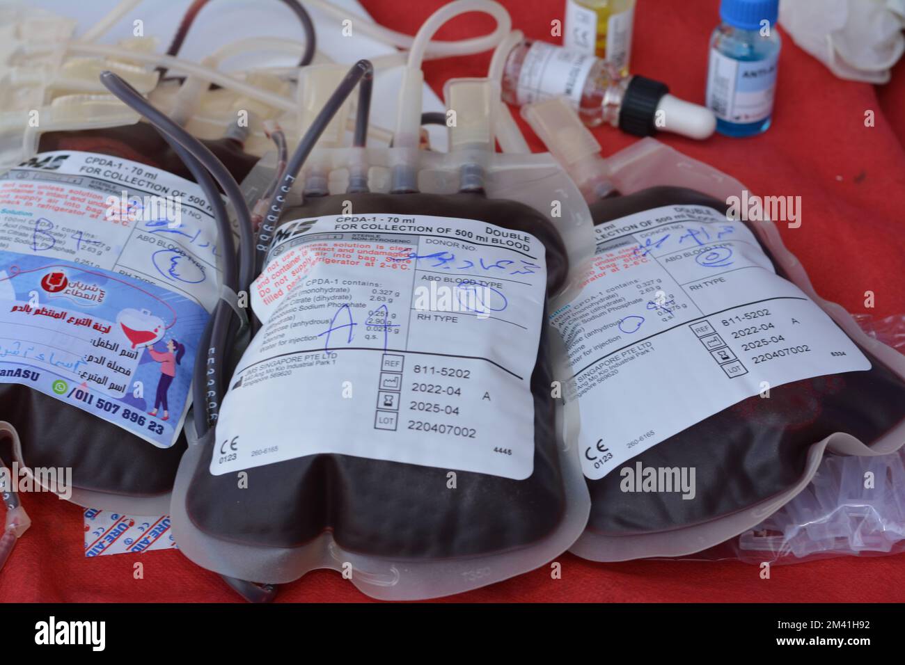 Cairo, Egypt, December 15 2022: blood bags from donors with different ...