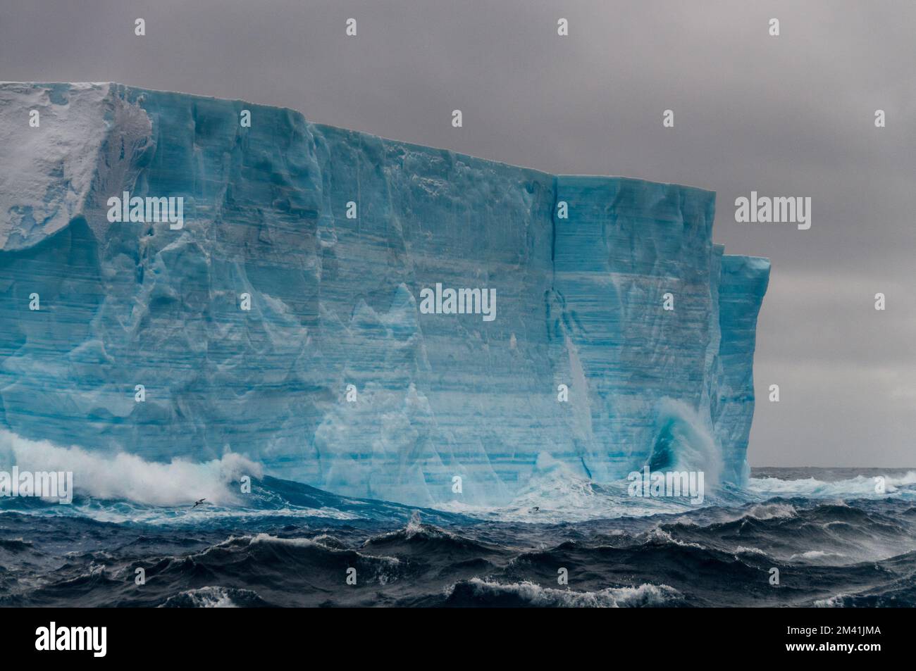 A giant tabular iceberg floating in the southern atlantic ocean, near ...